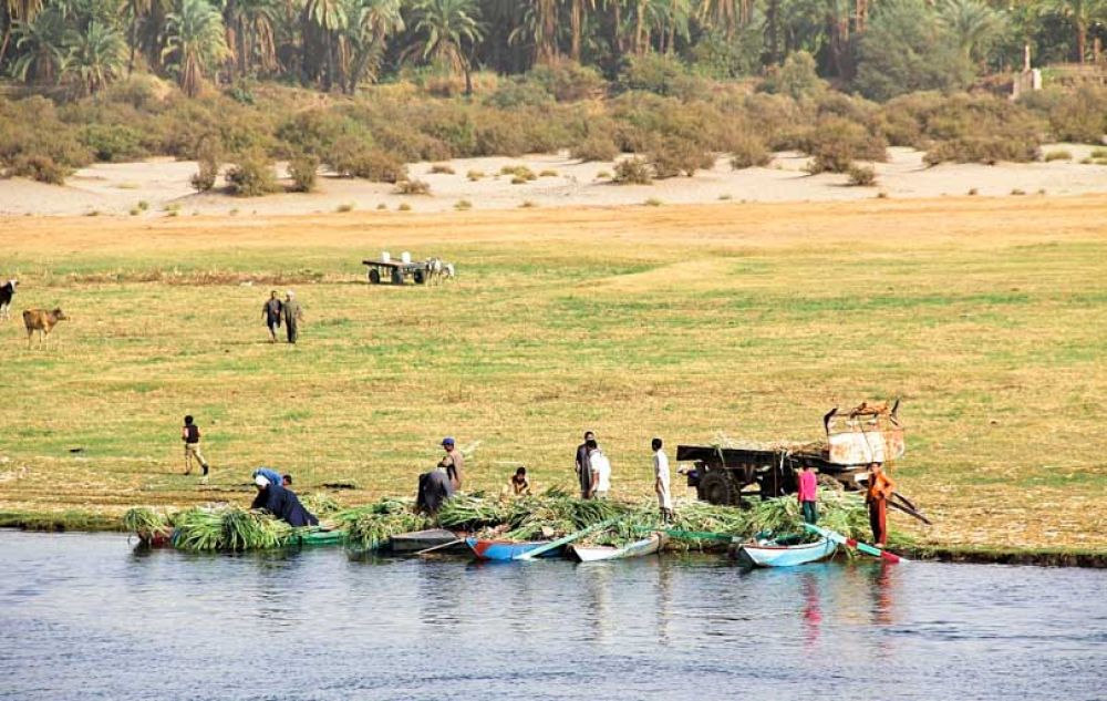 Que faire en Egypte : mon guide pour savoir où aller Que faire en Egypte : mon guide pour savoir où aller